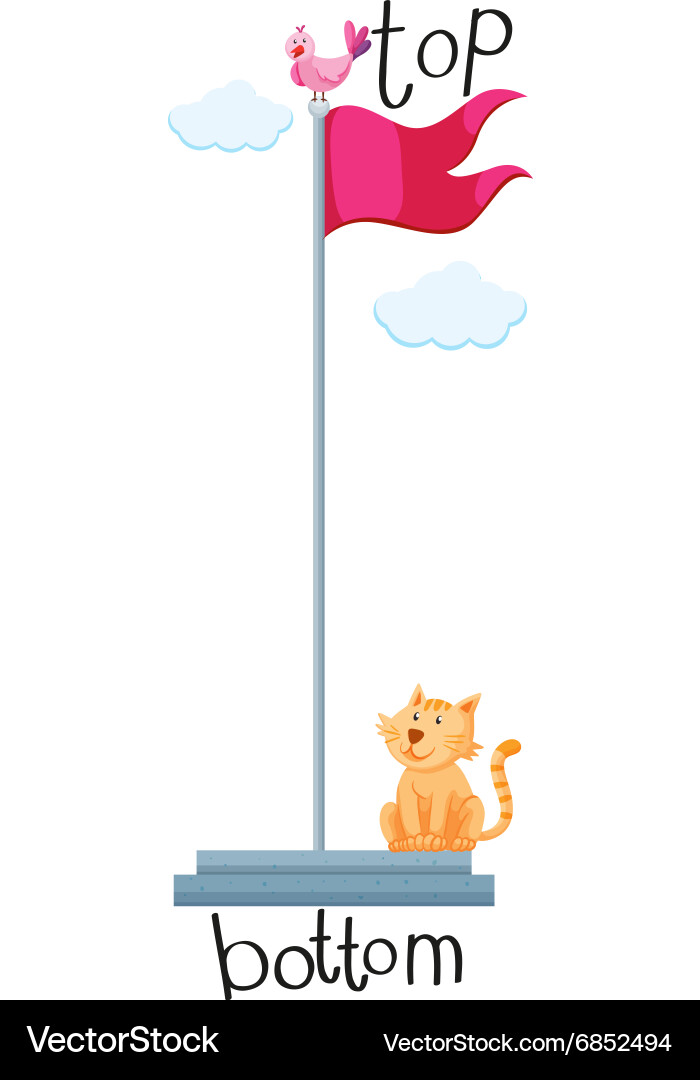 Opposite adjectives top and bottom Royalty Free Vector Image