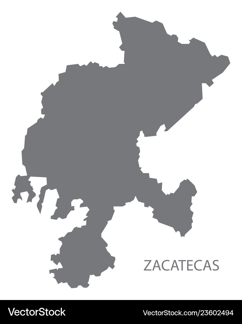 Zacatecas mexico map grey Royalty Free Vector Image
