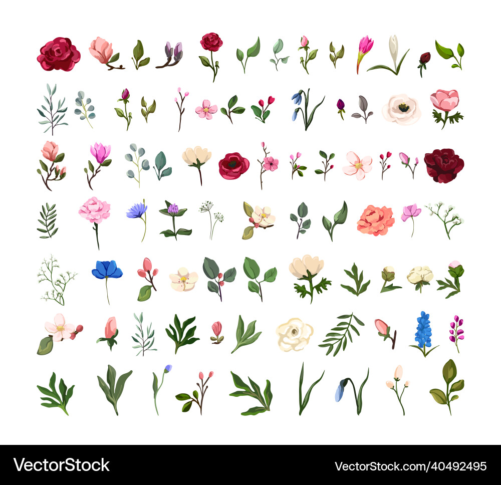 Collection of flowers Royalty Free Vector Image