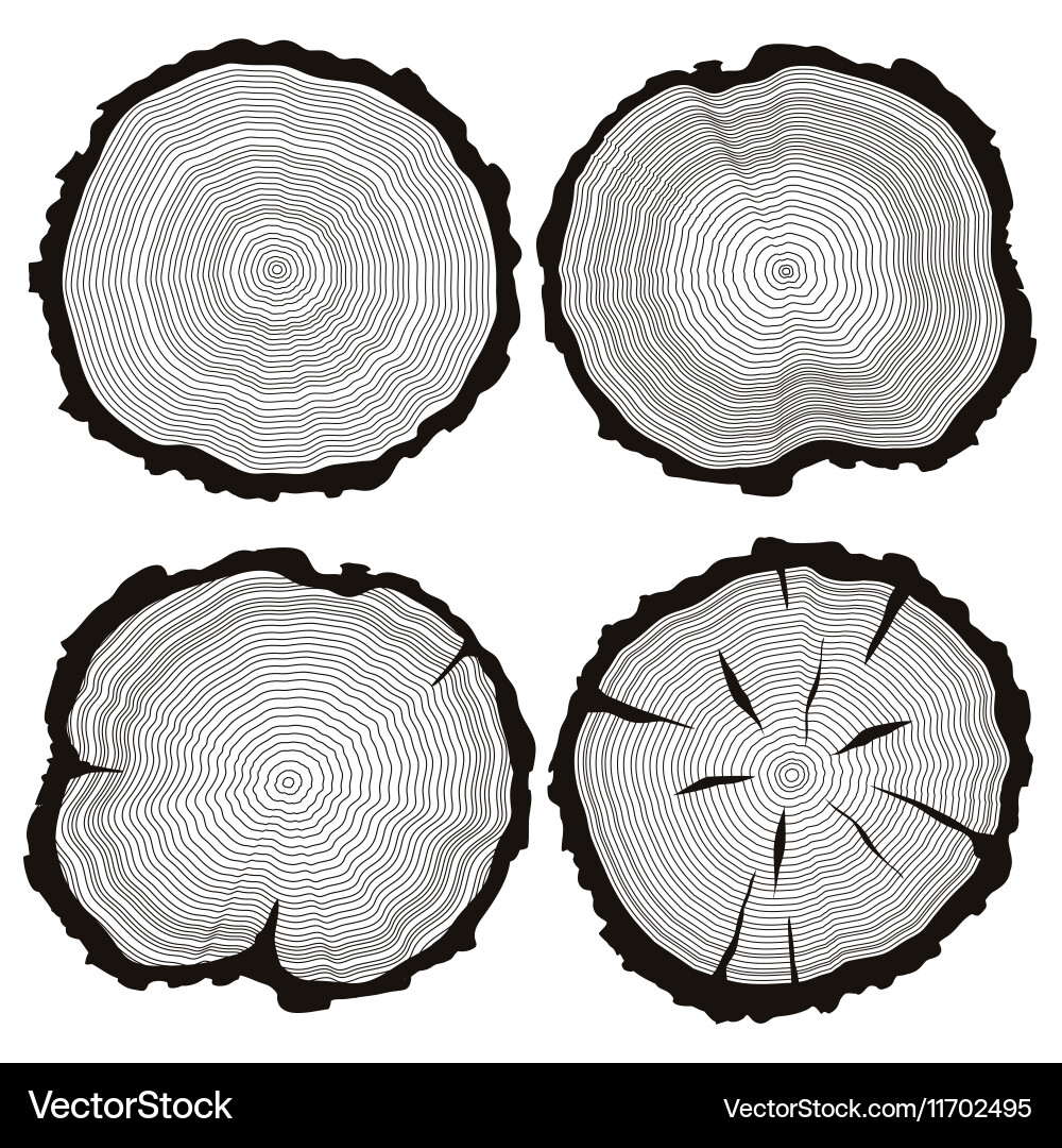 Tree Rings - Circular Wood Cut Royalty Free Vector Image