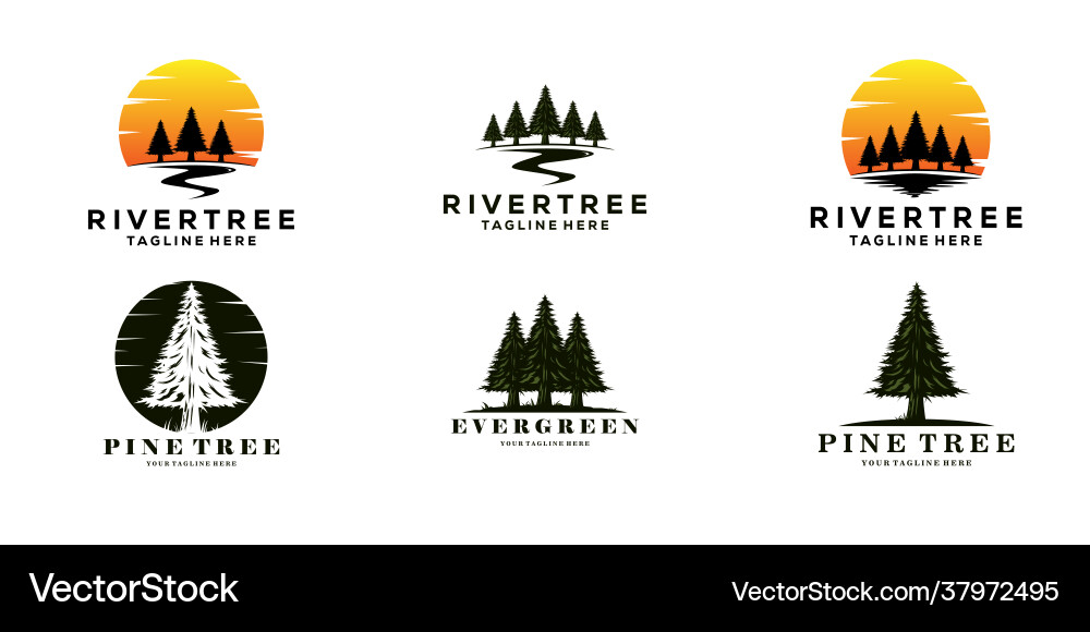Vintage Evergreen Pine Tree Logo Set Royalty Free Vector