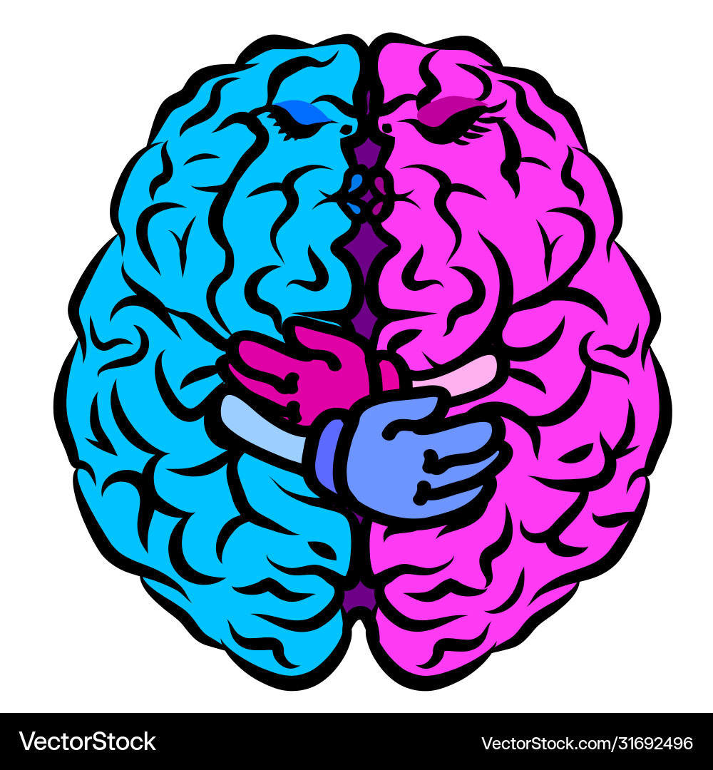 Brain two halves whole Royalty Free Vector Image