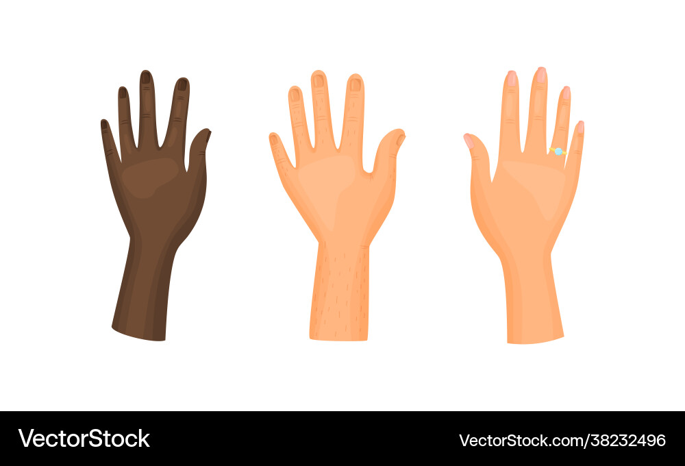 Different human right and left hands with palm Vector Image