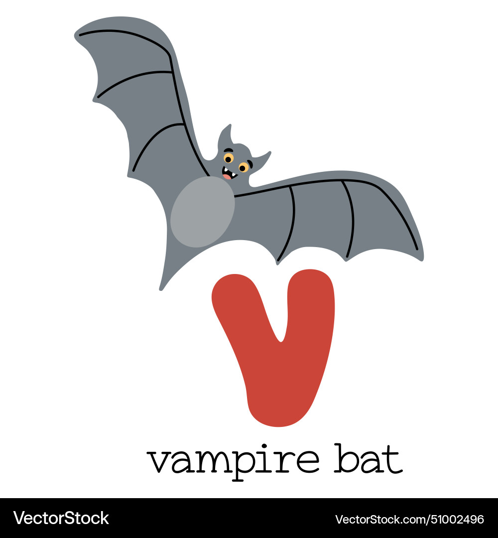 Educational of letter v from alphabet Royalty Free Vector