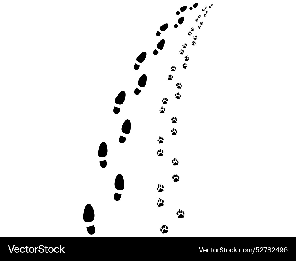 Footprints of man and dog Royalty Free Vector Image