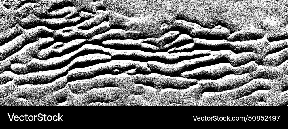 Sand texture overlay Royalty Free Vector Image