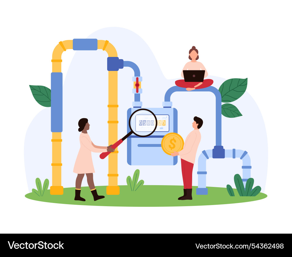 Utility meter inspection and financial analysis Vector Image