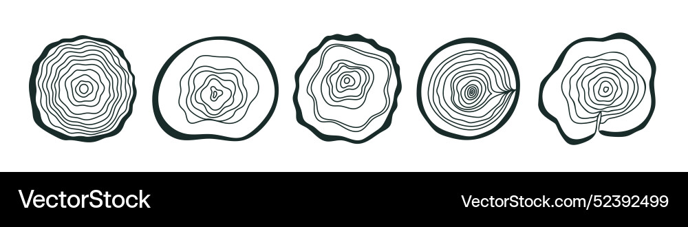 Circular wood rings abstract round outlines tree Vector Image