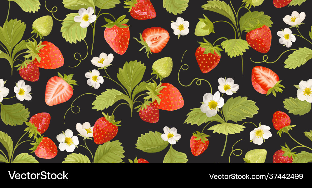 Strawberry Wildflower Background Royalty Free Vector Image