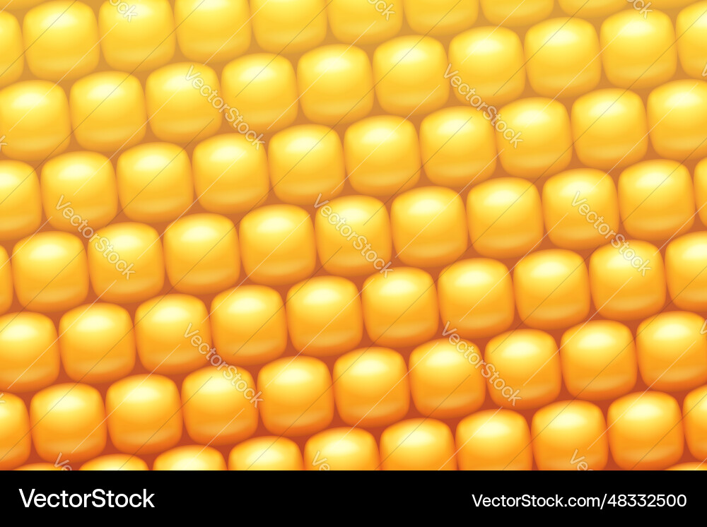 A shiny realistic golden corn texture back Vector Image