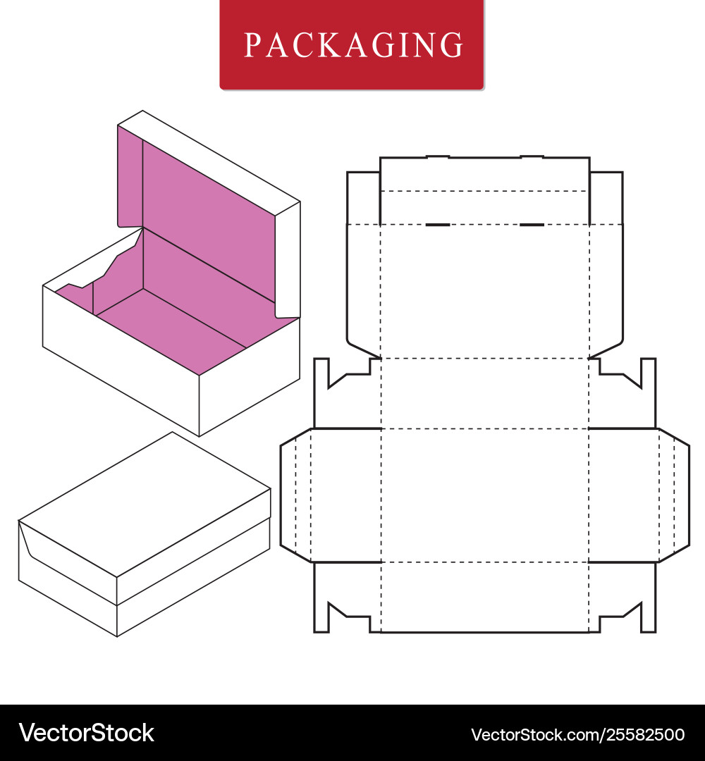 Boxpackage template isolated Royalty Free Vector Image