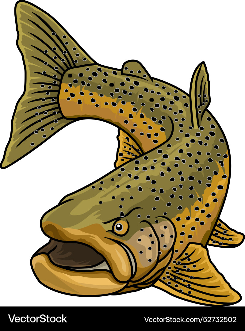 Brown trout fishing logo image Royalty Free Vector Image