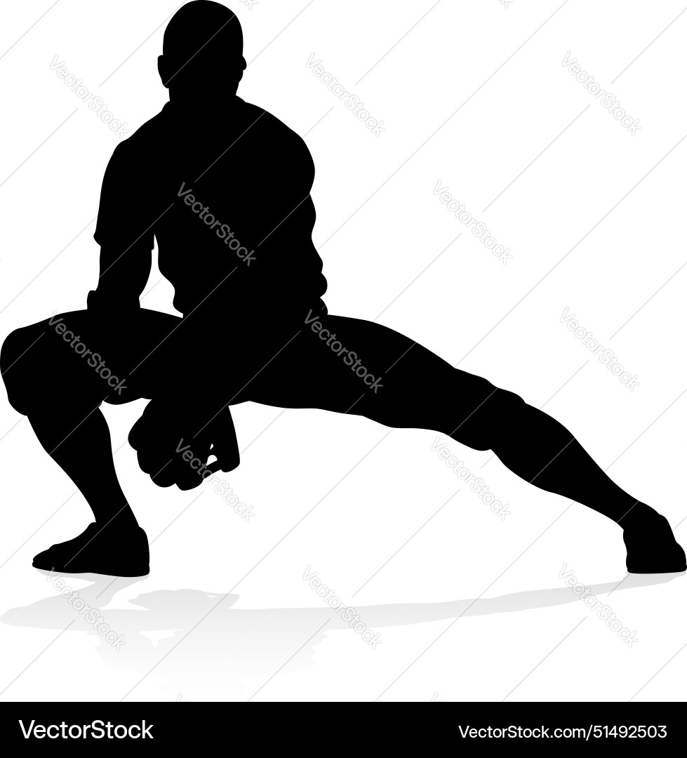 Baseball player silhouette Royalty Free Vector Image