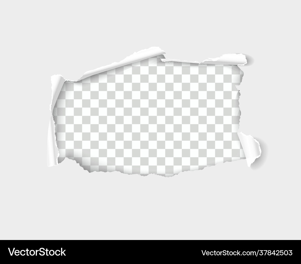 Paper hole frame for you image or text Royalty Free Vector