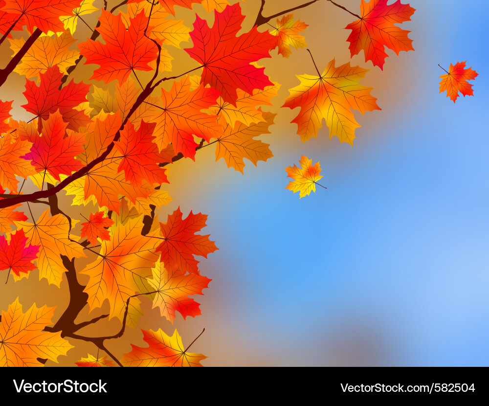 Autumn Leaf Background Royalty Free Vector Image