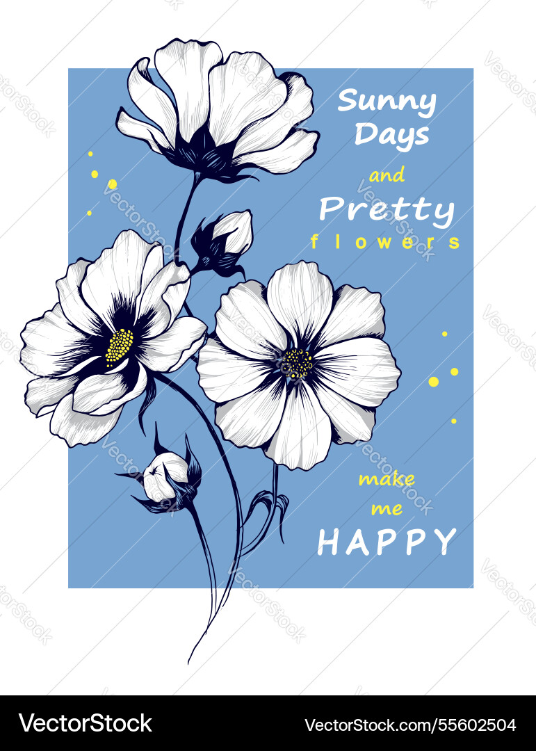 White Cosmos Flowers - Sunny Days Royalty Free Vector Image