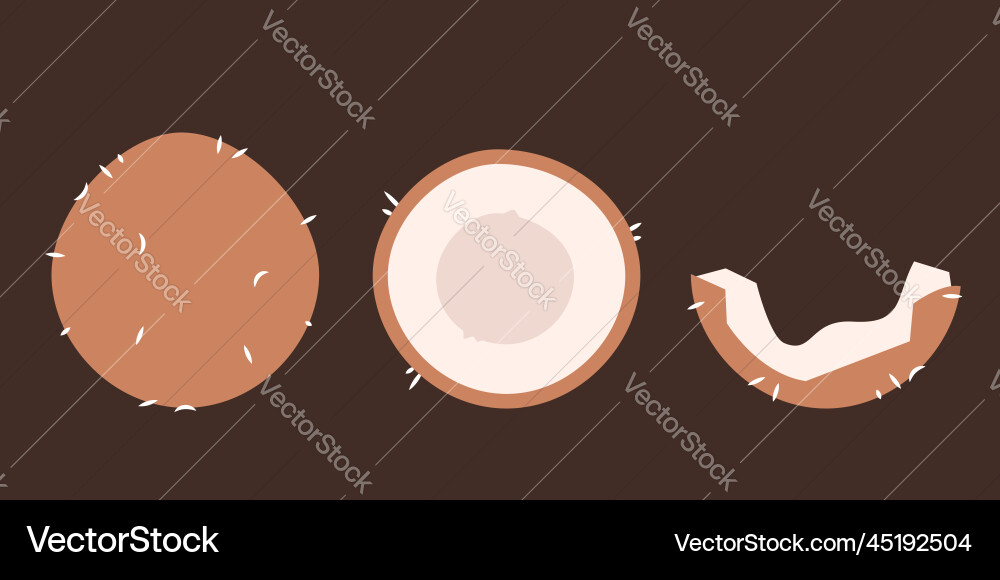 Whole and cut coconut Royalty Free Vector Image