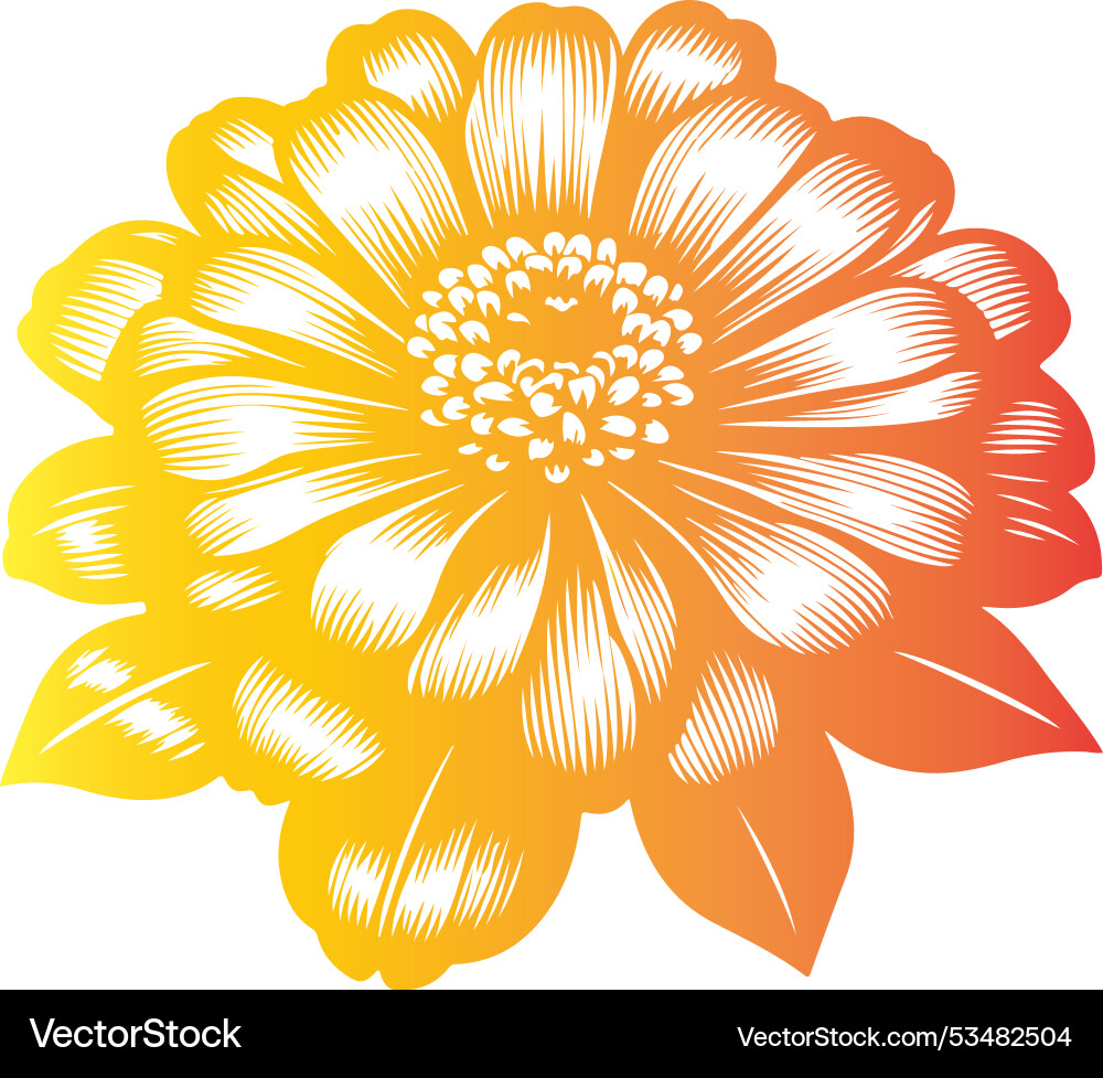 Zinnia flower silhouette black art Royalty Free Vector Image