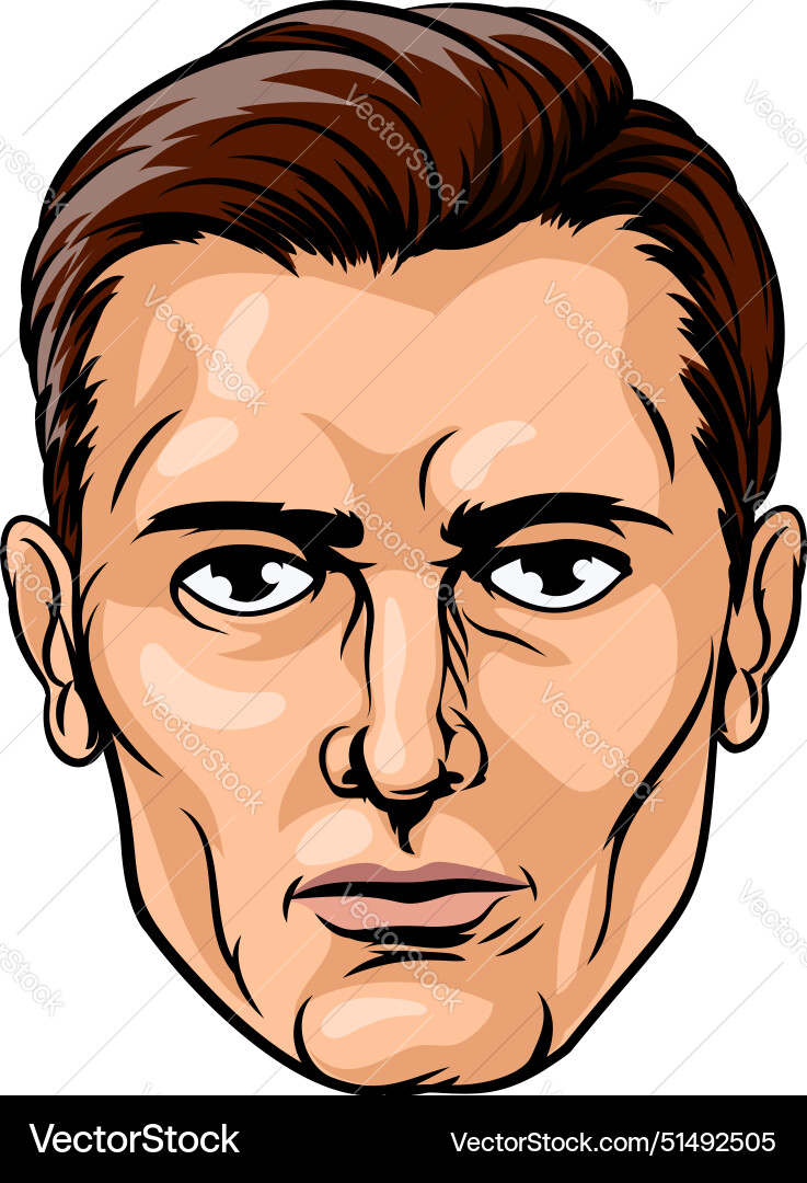 Handsome male face Royalty Free Vector Image - VectorStock