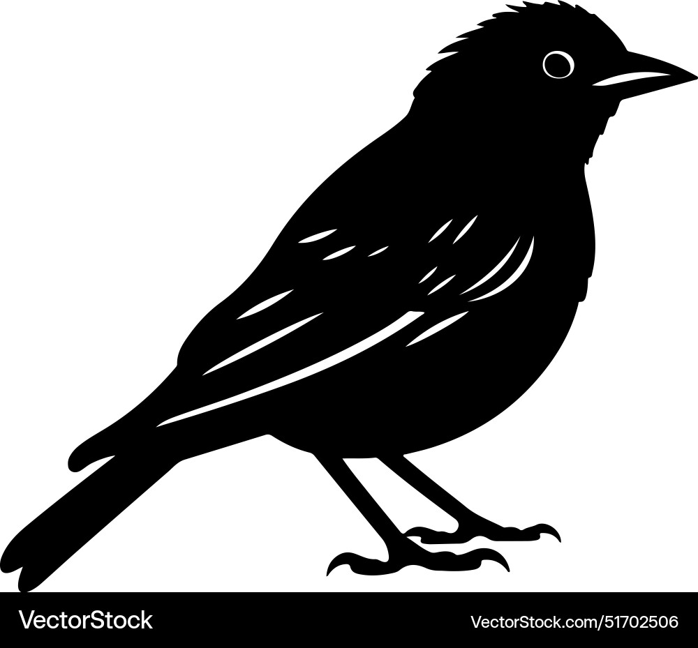 Lark bird silhouette white background Royalty Free Vector