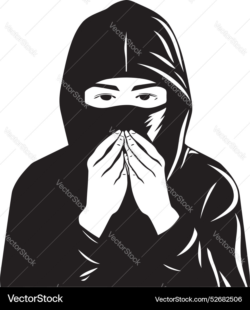 Masked mastermind veiled persona with black Vector Image