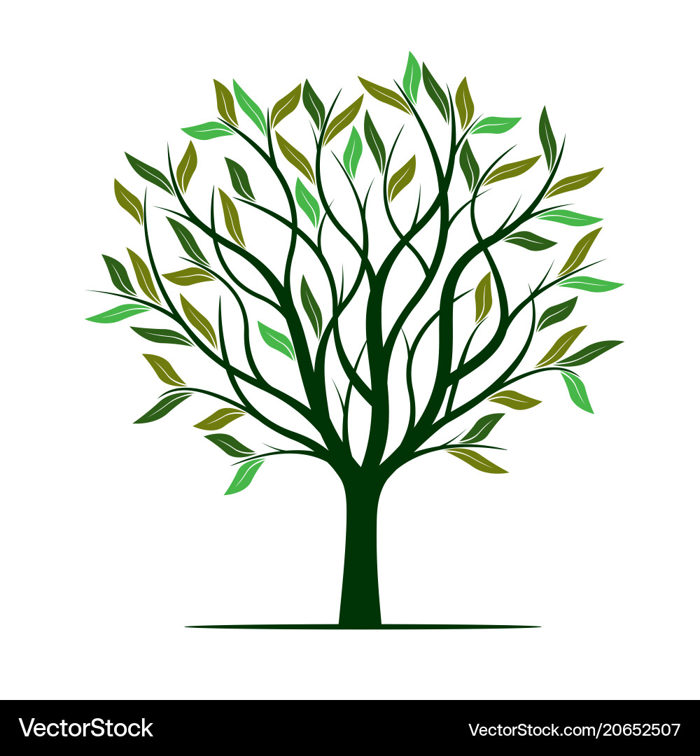 Green tree with leafs Royalty Free Vector Image