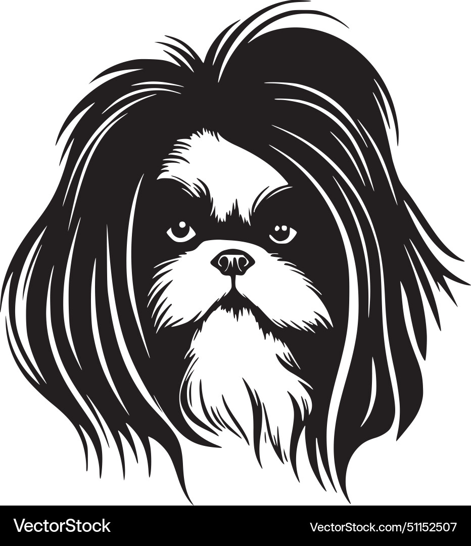 Japanese chin - high quality logo - ideal for Vector Image