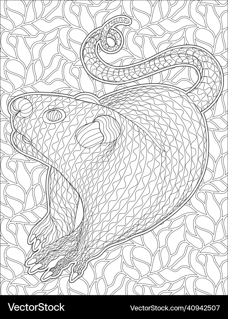 Rat line drawing with geometric background Vector Image