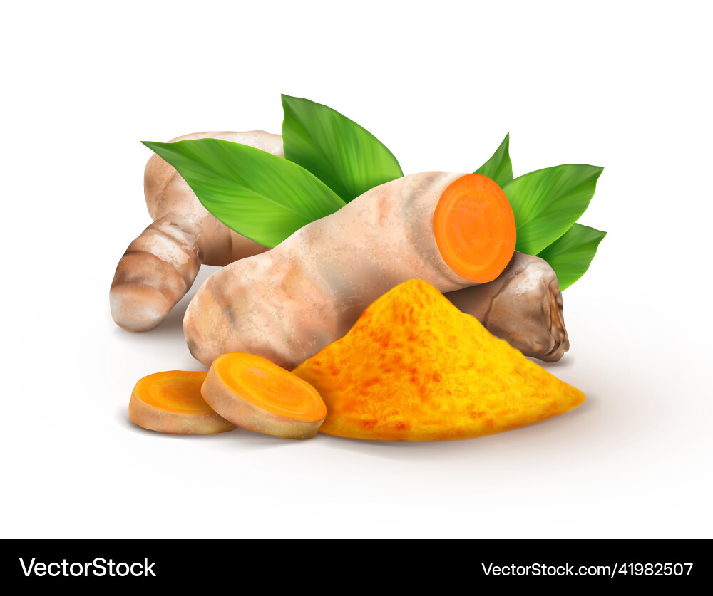 Turmeric spice concept and green leaves il Vector Image