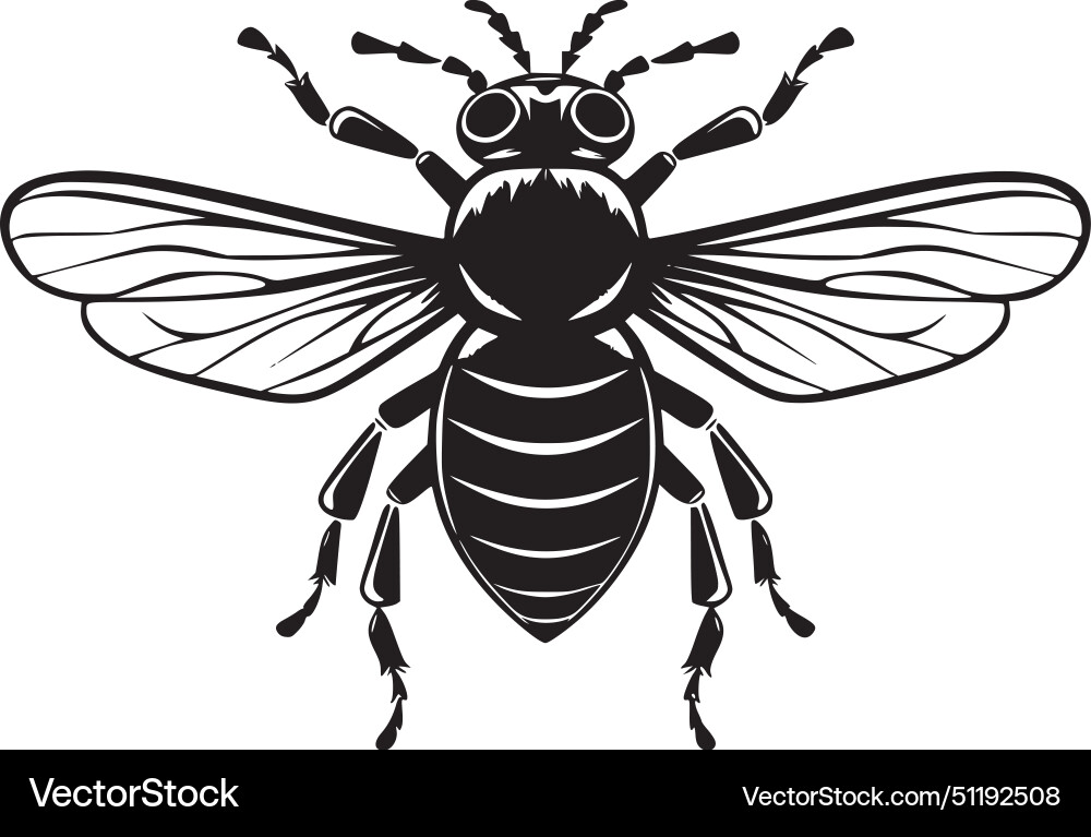 Fly - black and white isolated icon Royalty Free Vector