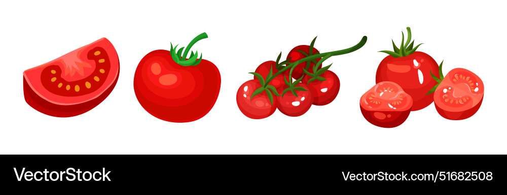Red tomato ripe vegetable cut and whole set Vector Image