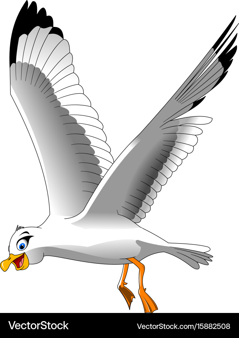 Seagull Royalty Free Vector Image - VectorStock