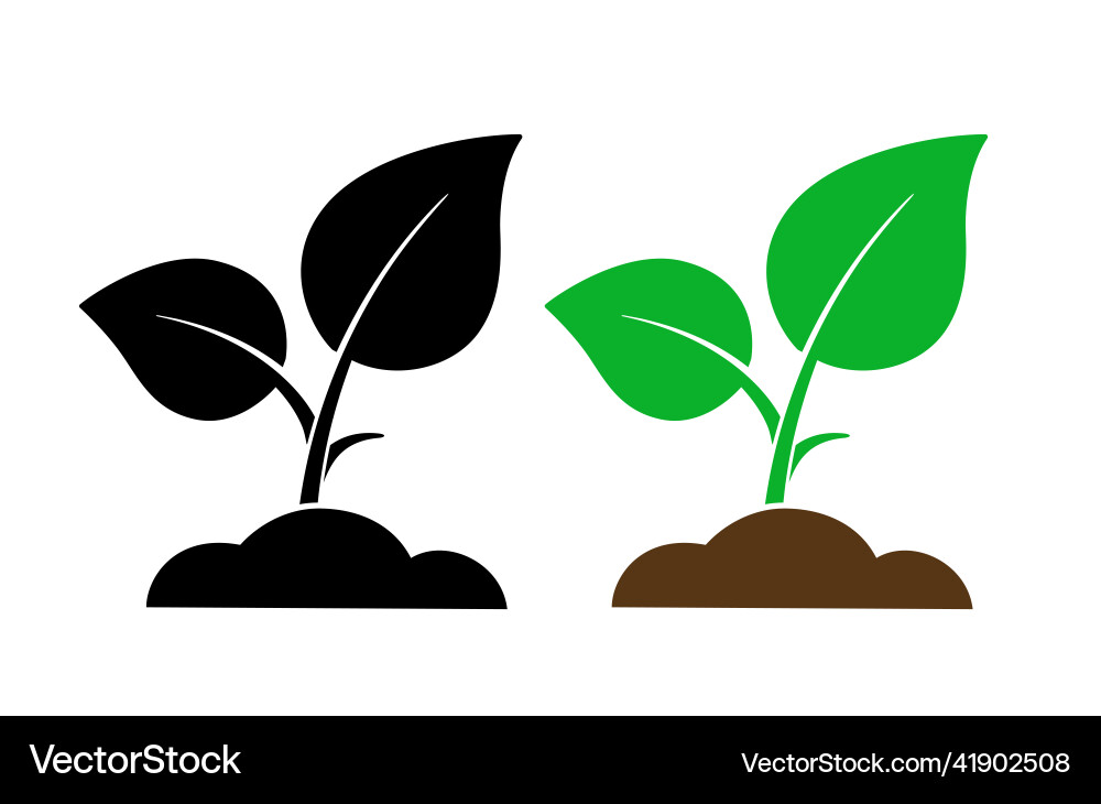 Sprout Plant with Two Leaves Royalty Free Vector Image