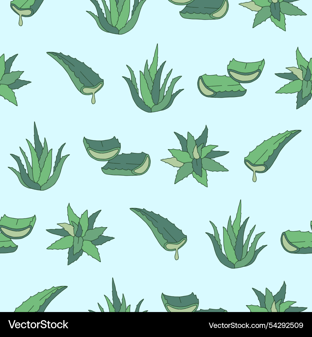Collection of aloe vera seamless pattern Vector Image