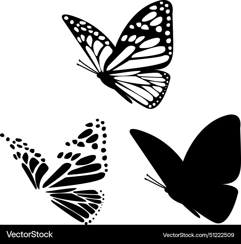 Spring side view butterfly silhouette decoration Vector Image