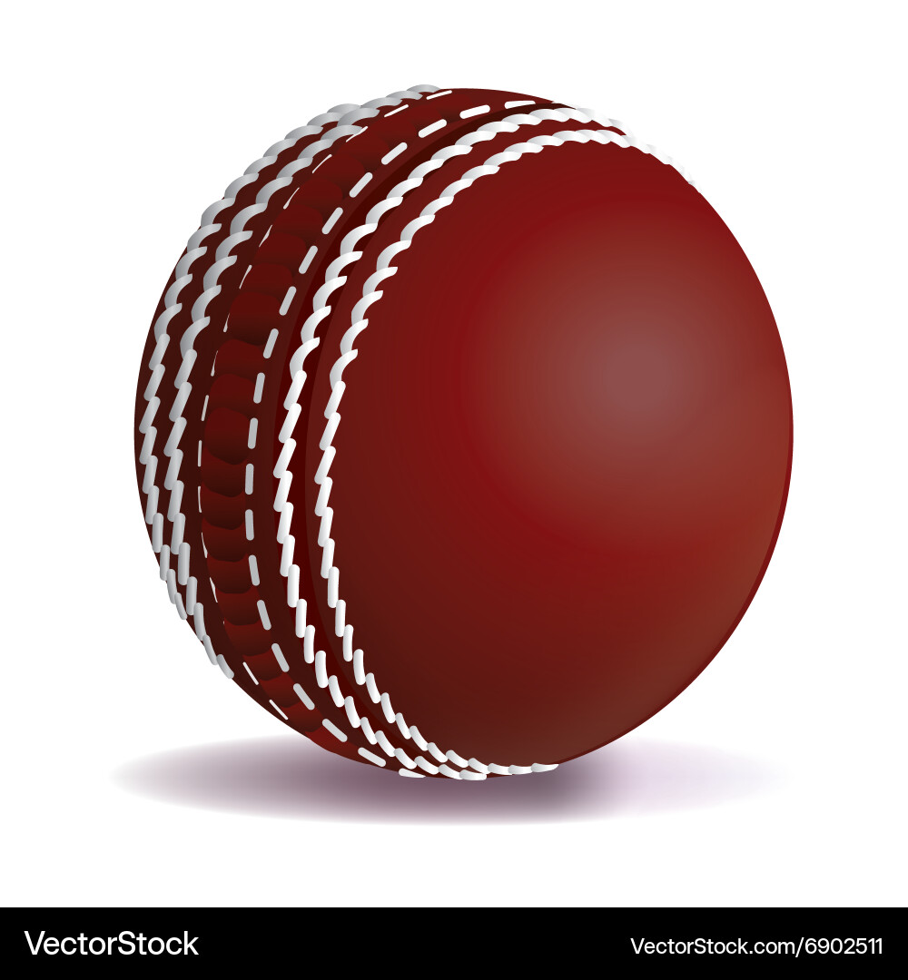 Cricket ball isolated Royalty Free Vector Image