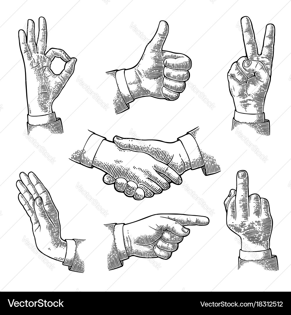 Hand Gesture - Multiple Signs Royalty Free Vector Image