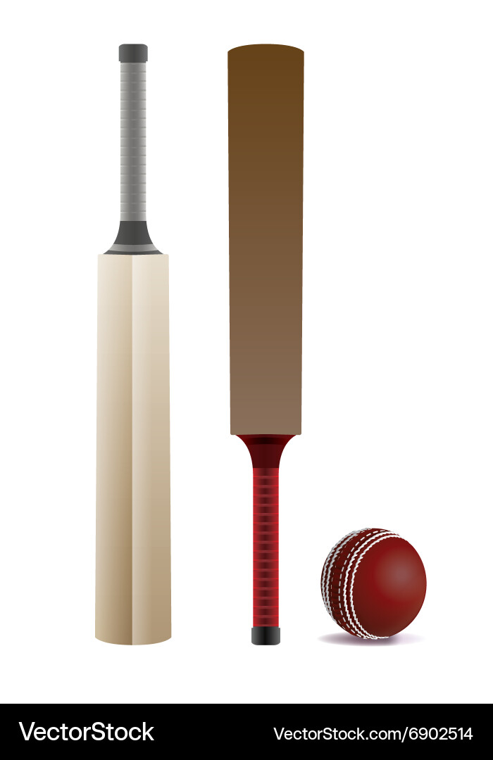 Cricket elements Royalty Free Vector Image - VectorStock