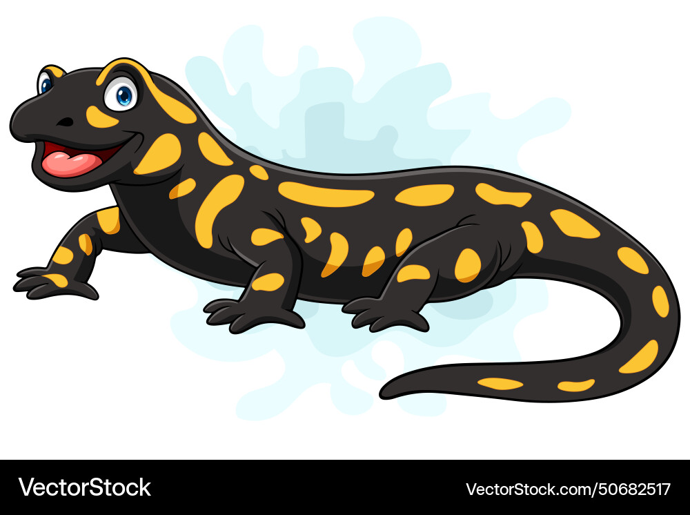 Cartoon salamander lizard on white background Vector Image