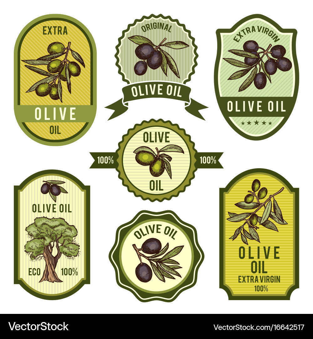 Colored labels for package design pictures Vector Image