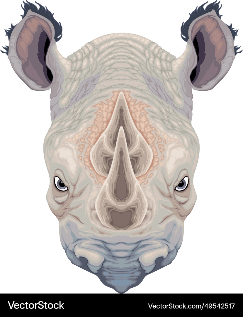 Rhinoceros head Royalty Free Vector Image - VectorStock