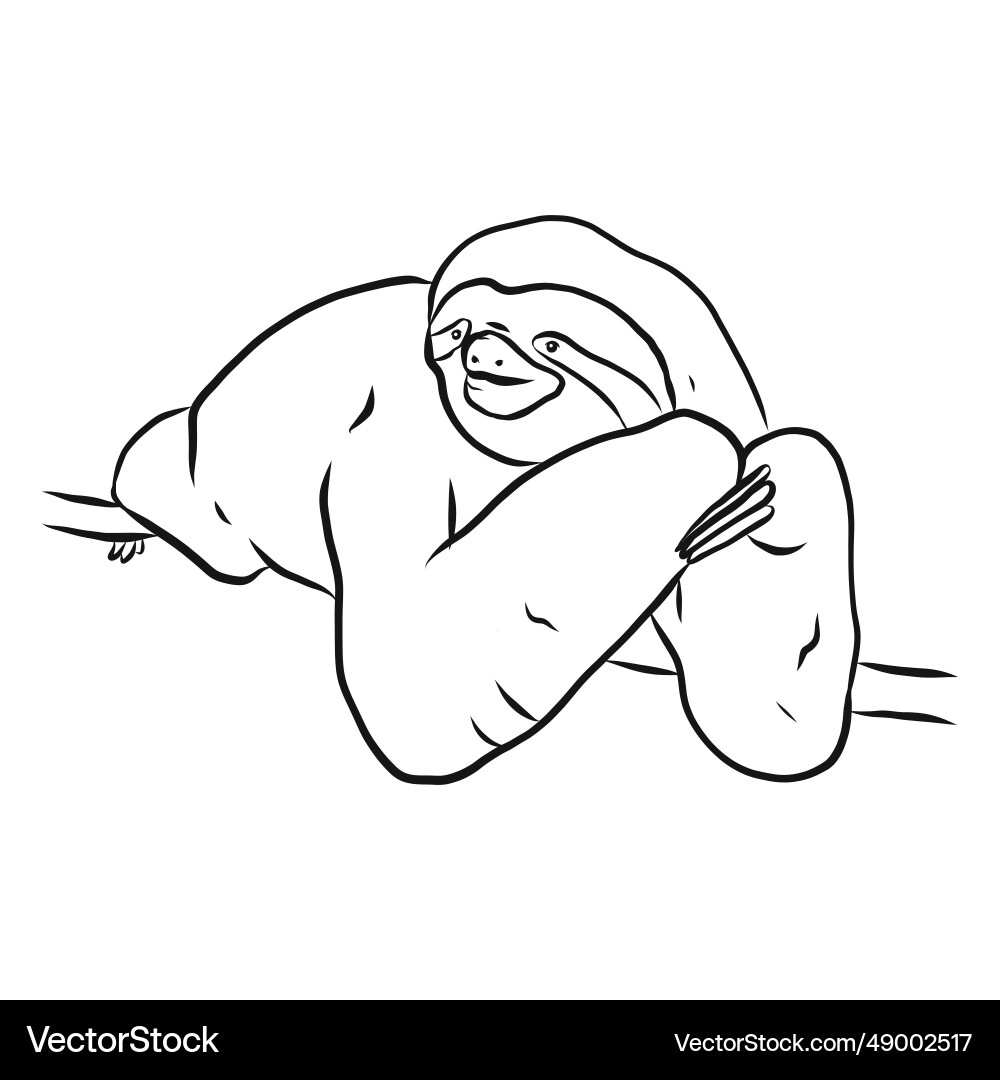 Sloth claw branch sketch Royalty Free Vector Image