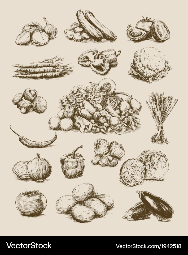 Hand drawn vegetables set Royalty Free Vector Image
