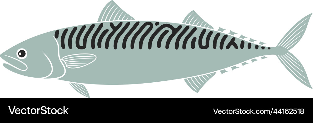 Mackerel Royalty Free Vector Image - VectorStock