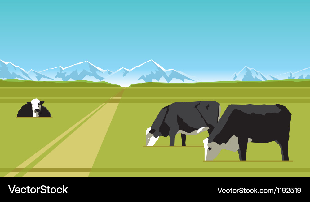 Farm cows Royalty Free Vector Image - VectorStock