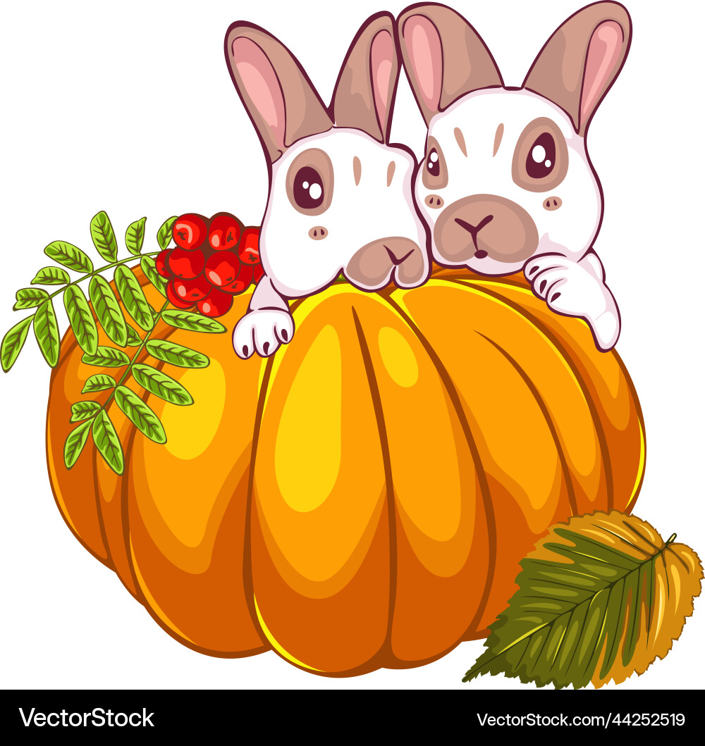 Rabbits with pumpkin Royalty Free Vector Image