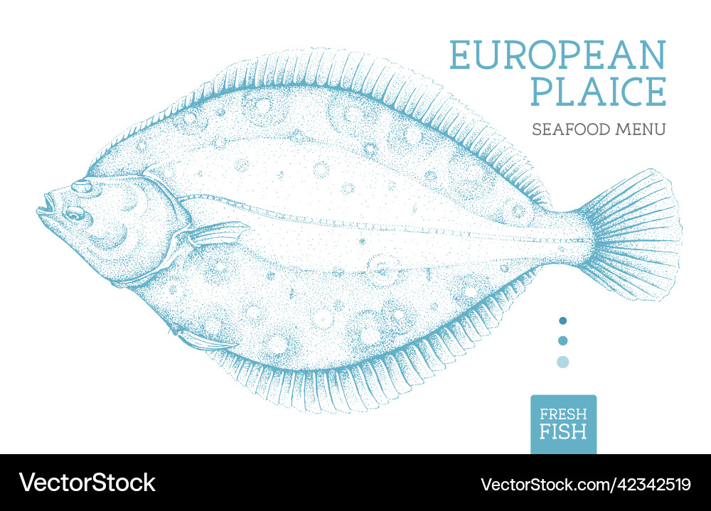 Realistic european fish Royalty Free Vector Image