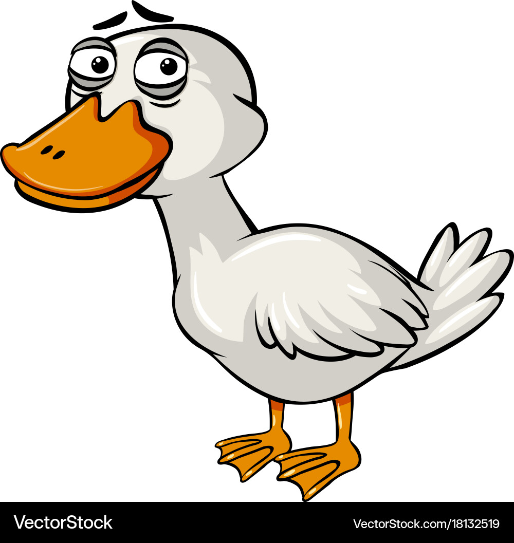 Sad duck on white background Royalty Free Vector Image