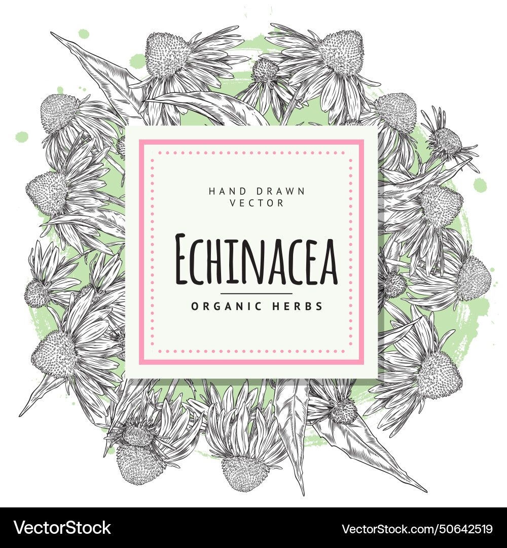 Vintage square frame template with hand drawn Vector Image