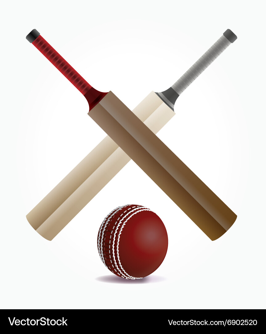 Cricket paddles crossed Royalty Free Vector Image